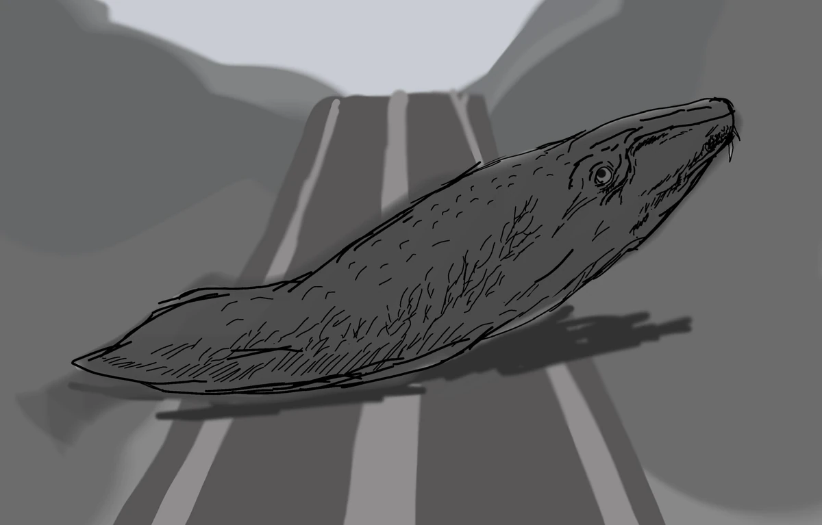 Boneless | Cryptid Wiki | Fandom