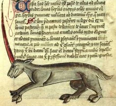 Monocerus | Cryptid Wiki | Fandom