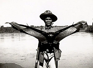 Giant Bats | Cryptid Wiki | Fandom