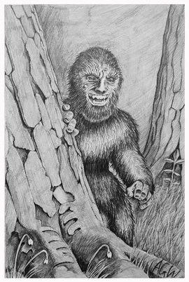 Venezuelan Hairy Dwarves | Cryptid Wiki | Fandom