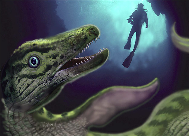 Bobo | Cryptid Wiki | Fandom