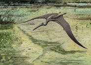 Kongamato | Cryptid Wiki | Fandom