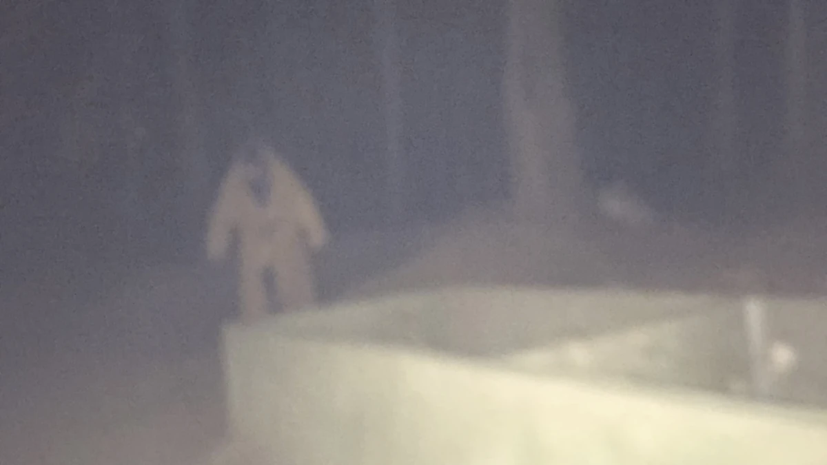 Raccoon Human | Cryptid Wiki | Fandom