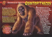 Gigantopithecus | Cryptid Wiki | Fandom