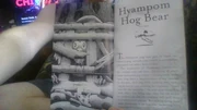 Hyampom Hog Bear | Cryptid Wiki | Fandom