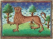 Pard | Cryptid Wiki | Fandom