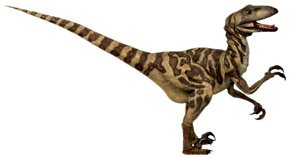 Georgia Raptor | Cryptid Wiki | Fandom