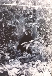 Hibagon | Cryptid Wiki | Fandom