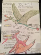 Ropen | Cryptid Wiki | Fandom