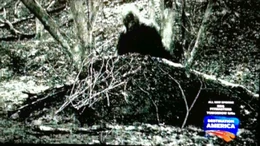 West Virginian Yahoo | Cryptid Wiki | Fandom