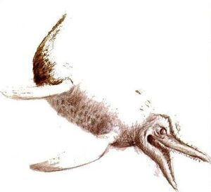 Bobo | Cryptid Wiki | Fandom