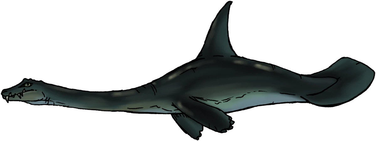 Skin fin | Cryptid Wiki | Fandom