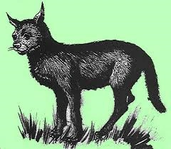 Mitla | Cryptid Wiki | Fandom