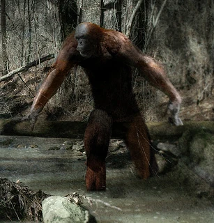 Quickfoot | Cryptid Wiki | Fandom