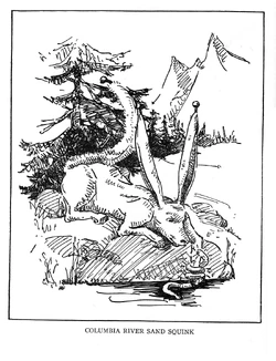 Columbia River Sand Squink | Cryptid Wiki | Fandom