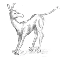 Salawa | Cryptid Wiki | Fandom