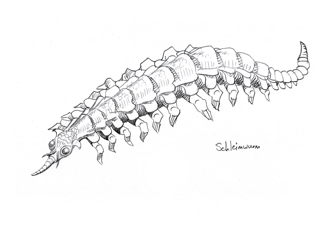 Dziewiątka Worm | Cryptid Wiki | Fandom