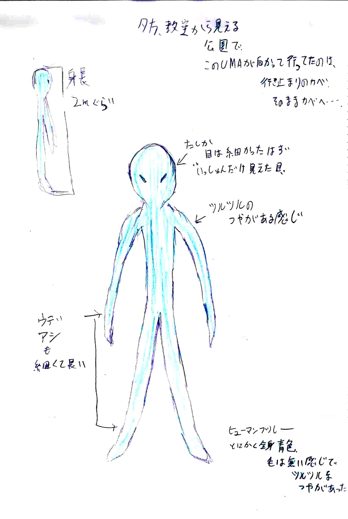 Human Blue | Cryptid Wiki | Fandom