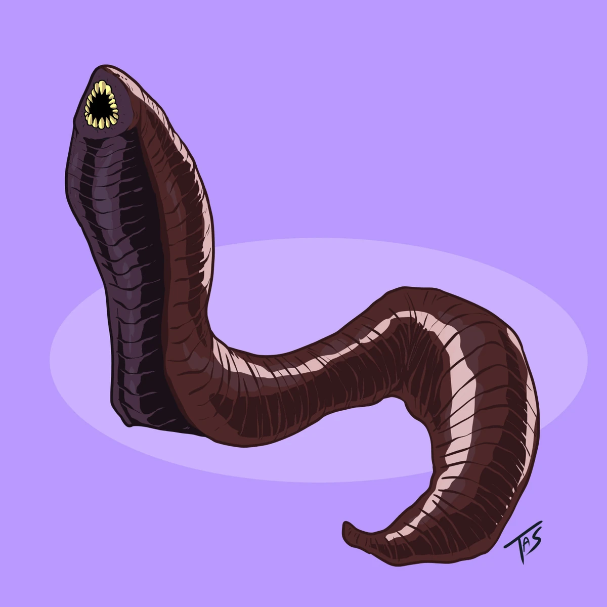 Tlanusi | Cryptid Wiki | Fandom