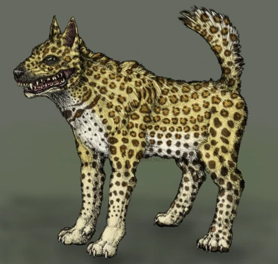 Crocotta | Cryptid Wiki | Fandom