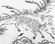 Aoyin | Cryptid Wiki | Fandom