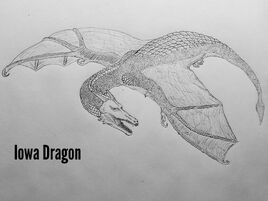 Iowa Dragons | Cryptid Wiki | Fandom