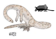 Mokèlé-mbèmbé | Cryptid Wiki | Fandom