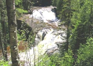 Gugwe | Cryptid Wiki | Fandom