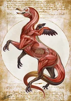 Griffins | Cryptid Wiki | Fandom