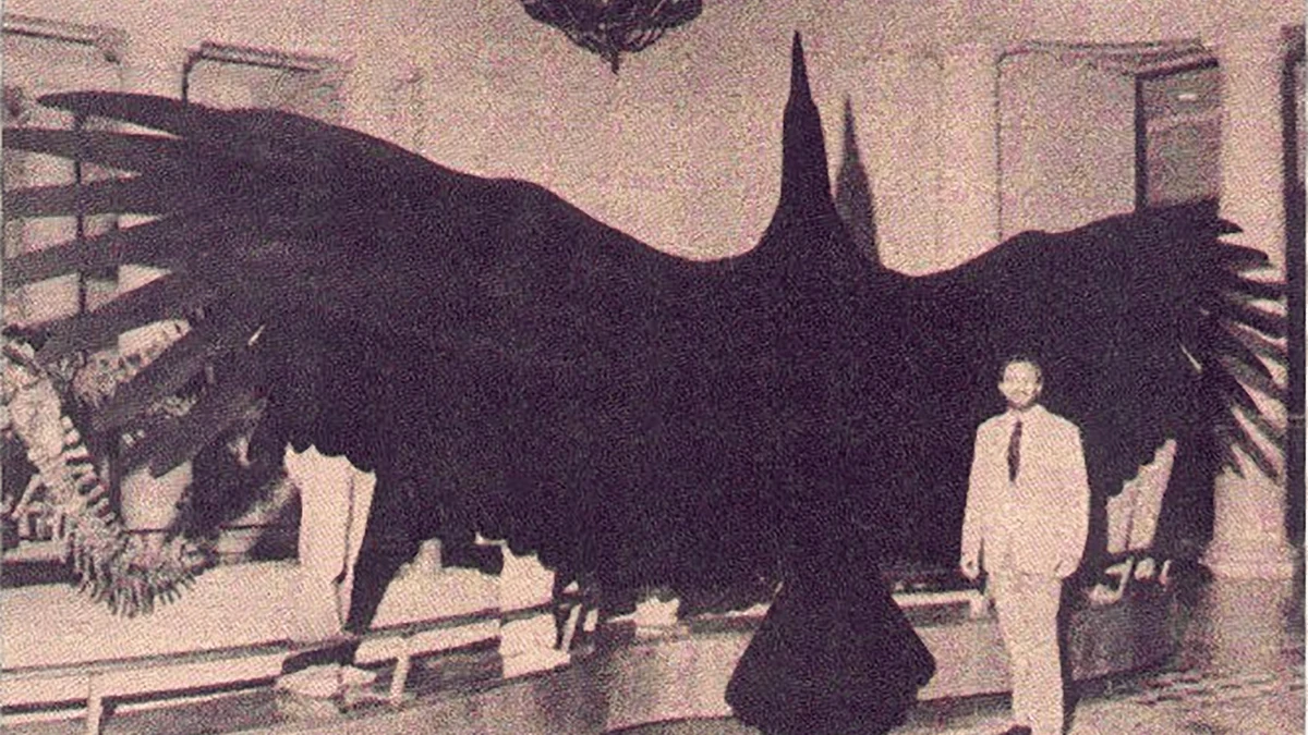 Thunderbird | Cryptid Wiki | Fandom