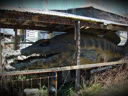 Florida | Cryptid Wiki | Fandom