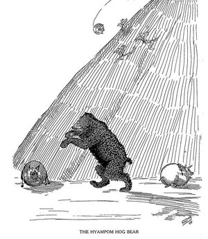Hyampom Hog Bear | Cryptid Wiki | Fandom
