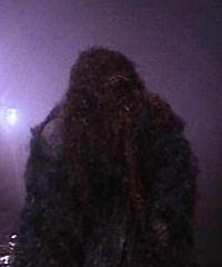 Moss Man | Cryptid Wiki | Fandom