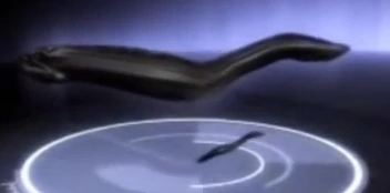 Cressie | Cryptid Wiki | Fandom