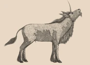 Unicorn | Cryptid Wiki | Fandom
