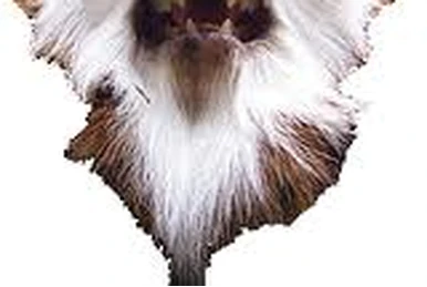 Encantado Weredolphin