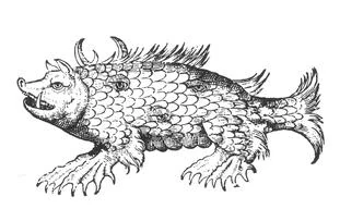 Hoga | Cryptid Wiki | Fandom