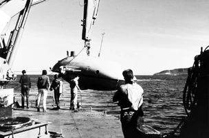 Deepstar 4000 Fish | Cryptid Wiki | Fandom