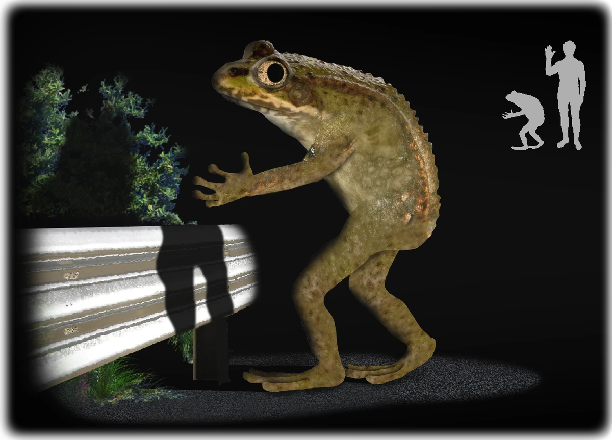 Loveland Frogmen | Cryptid Wiki | Fandom