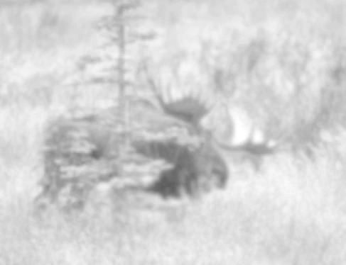 Moose Monster | Cryptid Wiki | Fandom