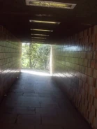 Ratman of Southend | Cryptid Wiki | Fandom