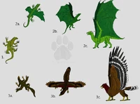 Griffins | Cryptid Wiki | Fandom