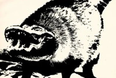 Encantado Weredolphin