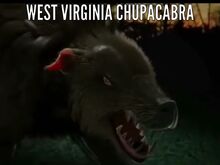 Appalachian Chupacabra | Cryptid Wiki | Fandom