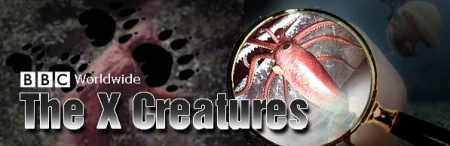 The X Creatures | Cryptid Wiki | Fandom