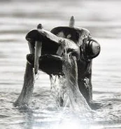 New York | Cryptid Wiki | Fandom