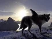 Akhlut | Cryptid Wiki | Fandom