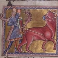 Bonnacon | Cryptid Wiki | Fandom