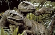 Georgia Raptor | Cryptid Wiki | Fandom