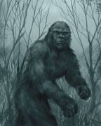 Sasquatch | Cryptid Wiki | Fandom